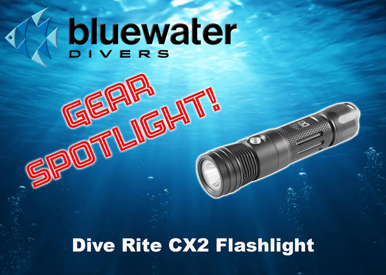 Gear Spotlight - Dive Rite CX2 = Awesome! - Bluewater Divers