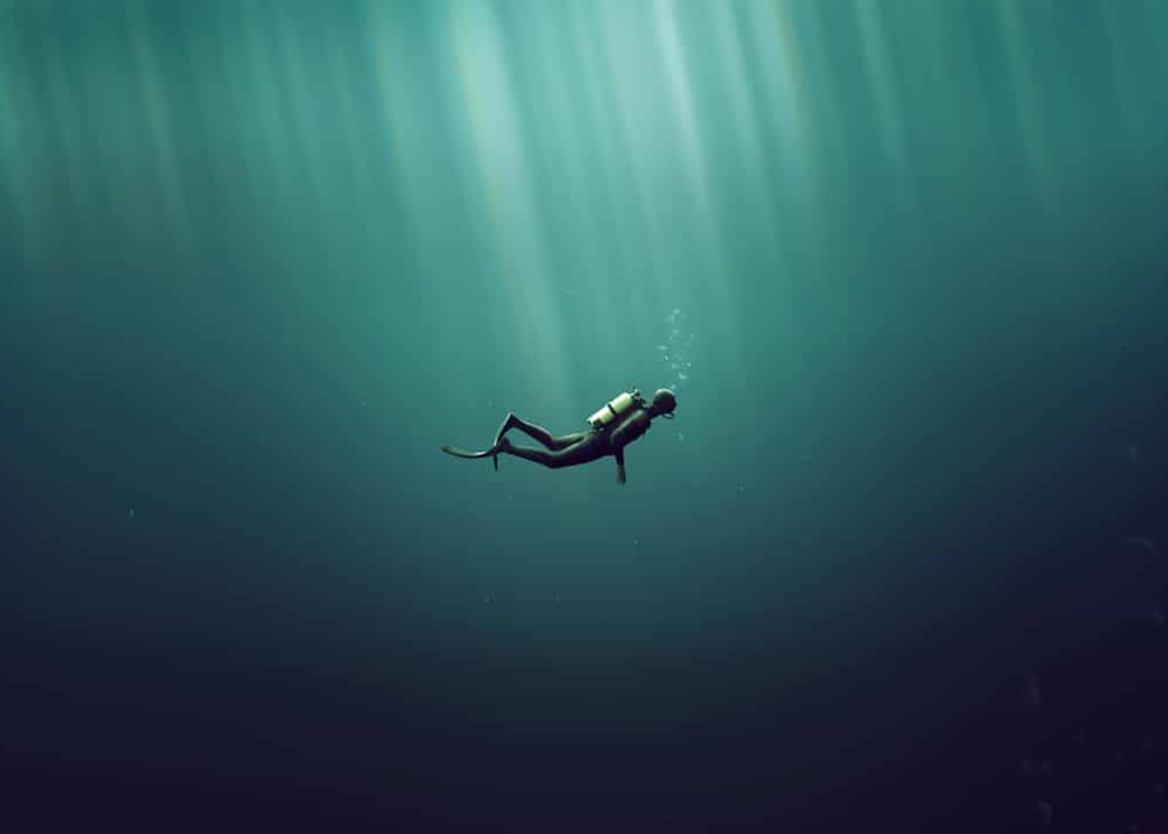 #1! Why Scuba Diving Is The Best Sport/Hobby In The World - Bluewater ...